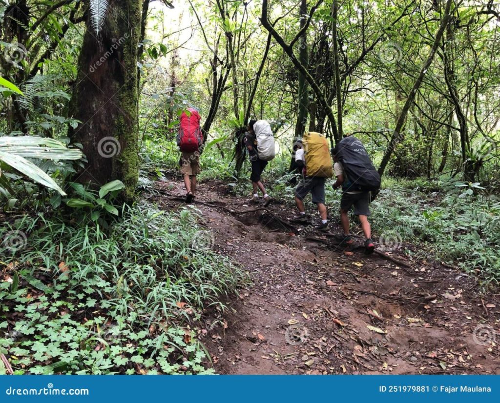 Rute Pendakian Gunung Ciremai Pemula - Mountnesia