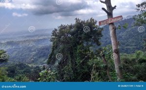 Rute Pendakian Gunung Ciremai Pemula - Mountnesia